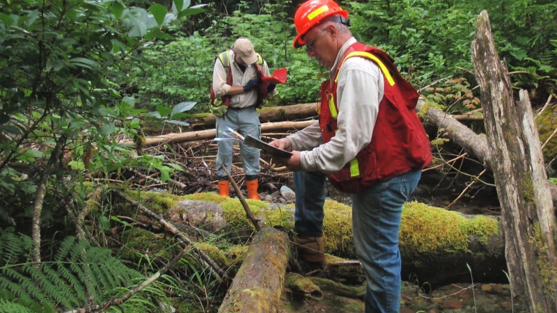 Managed Forest CouncilManaged Forest Inspector - Expression of Interest ...