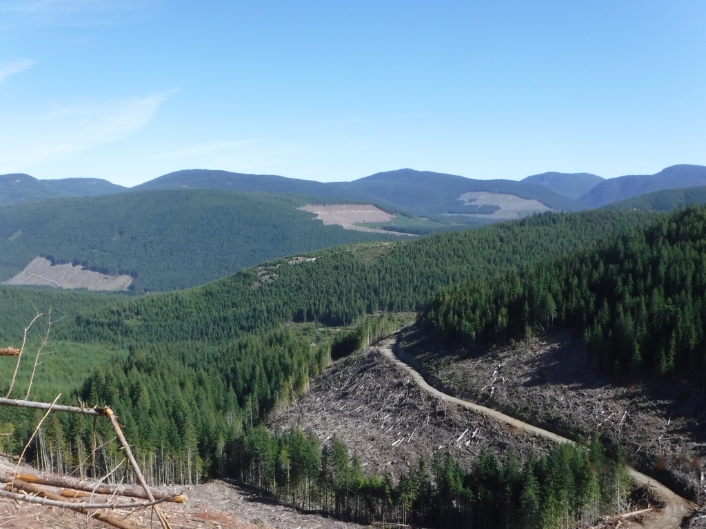 2019-20 Annual Report - Managed Forest Council