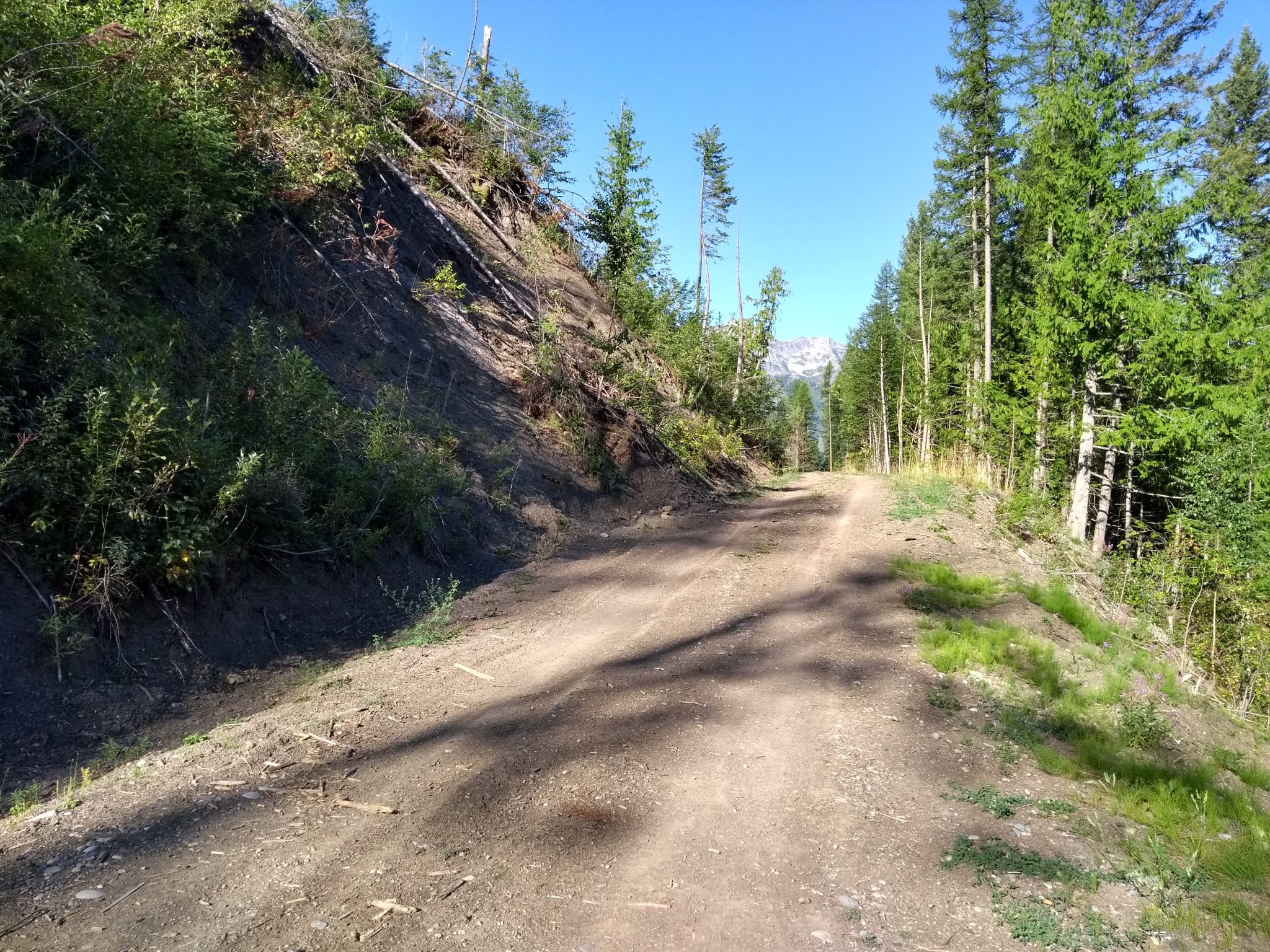 Road Maintenance & Deactivation - Managed Forest Council