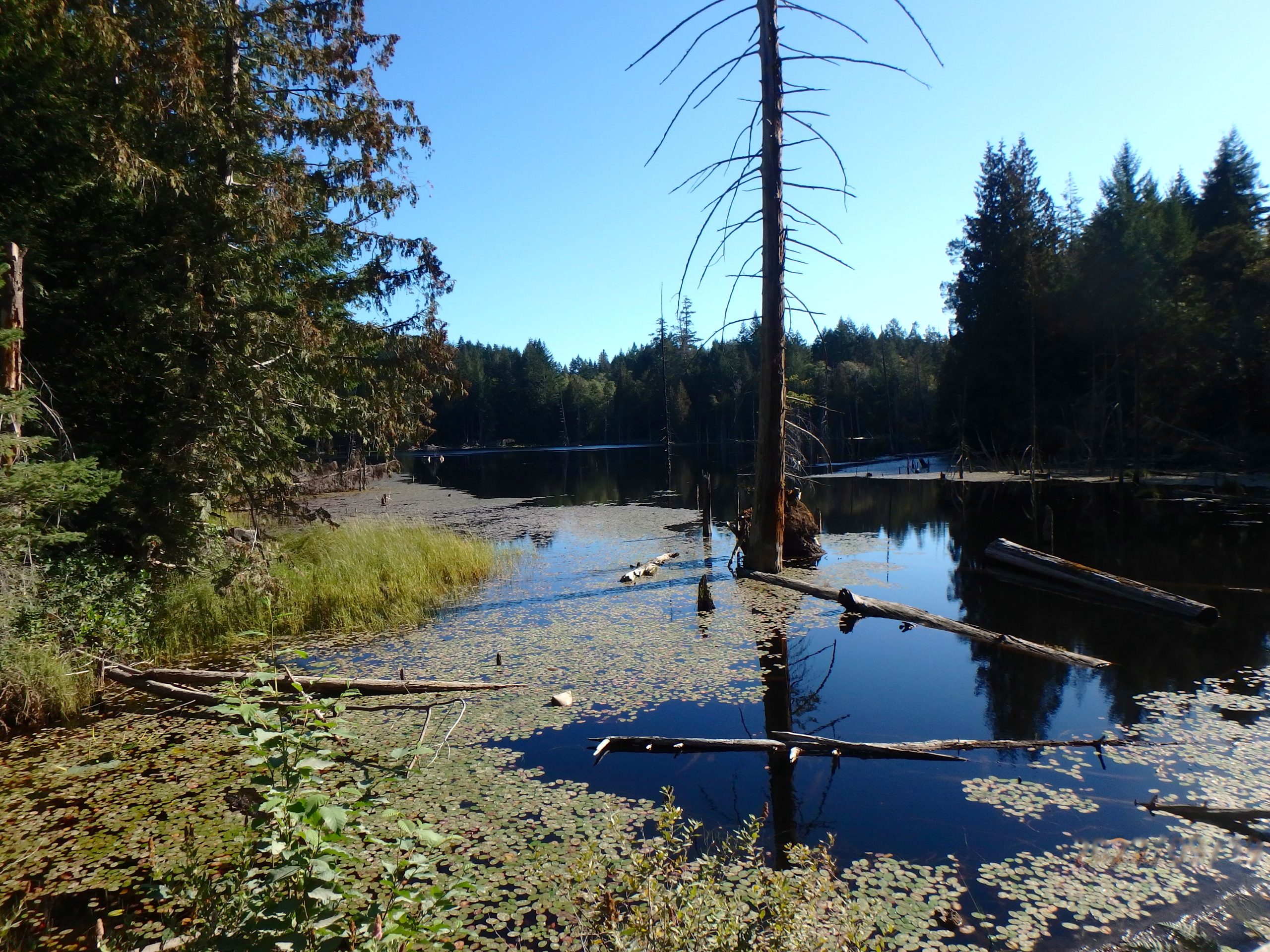 MFC 2021-2022 Annual Report - Managed Forest Council
